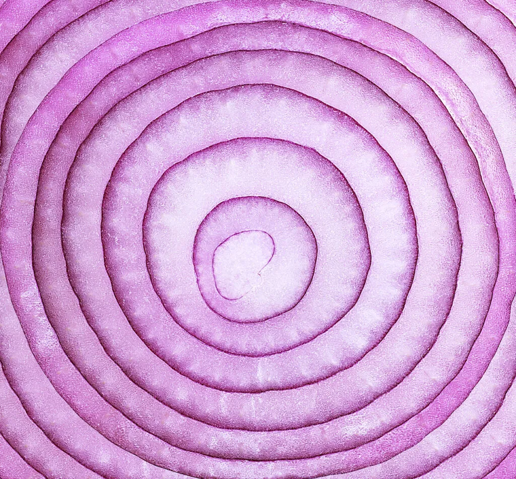 La capa exterior de la cebolla: protección y múltiples usos