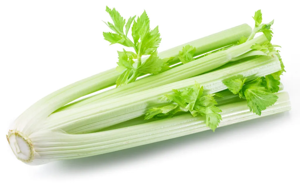 Tallos de verduras que comemos - Guía de tallos comestibles - Solococinar