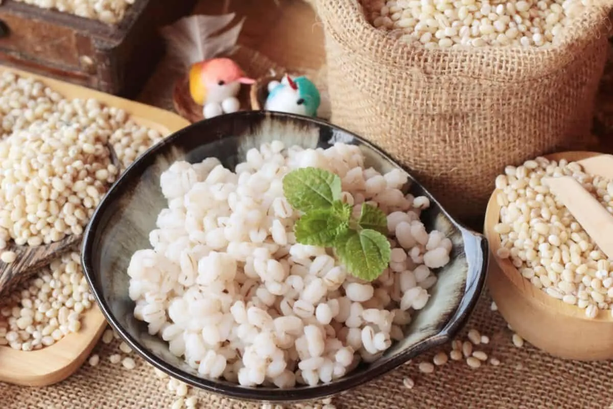 Cebada: variedades, beneficios y recetas del grano integral