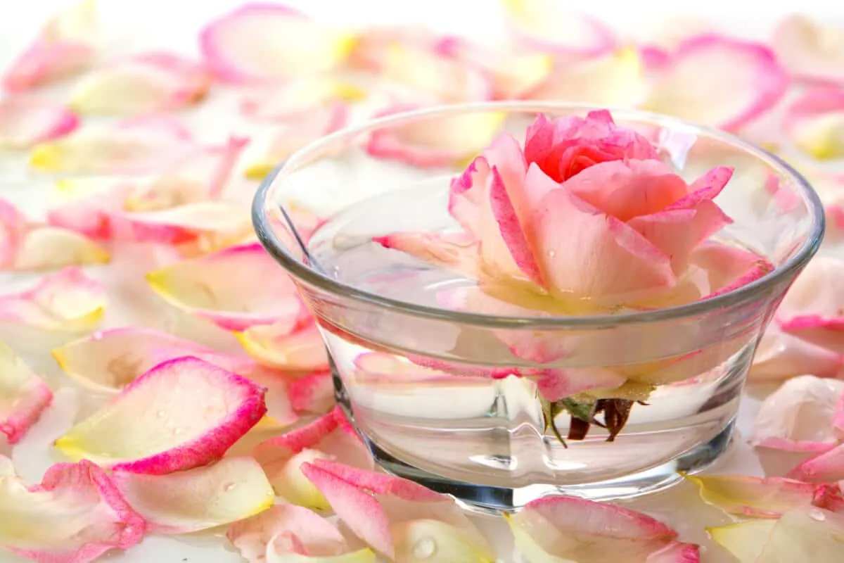 Agua de rosas: 10 sustitutos para un aroma exquisito