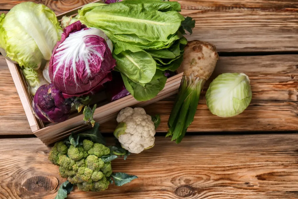 Tallos de verduras que comemos - Guía de tallos comestibles - Solococinar
